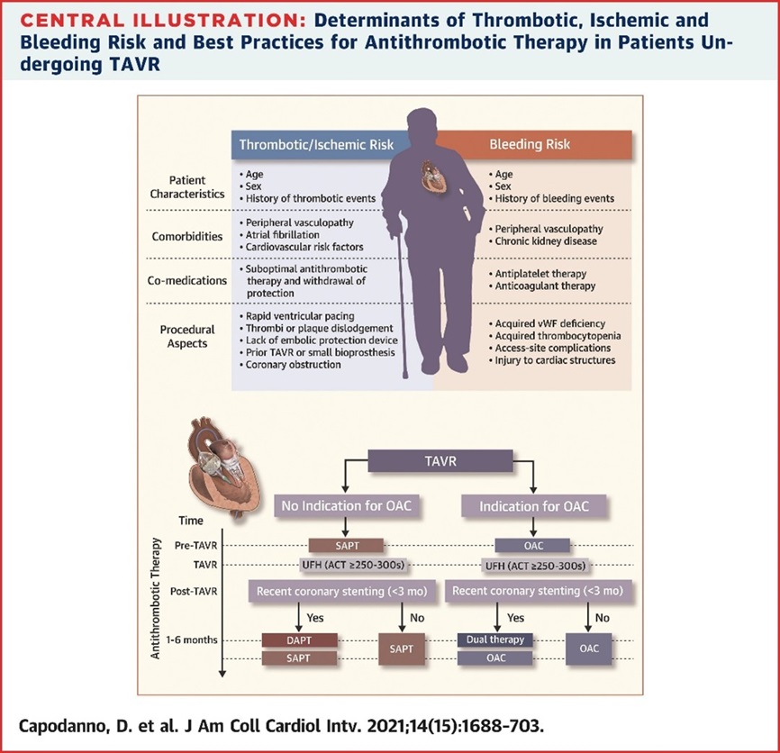 BPT cardiology - Cardiovascular Clinical Courses, Melbourne